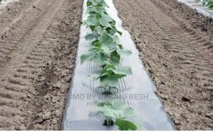Plastic Mulch Crops Cover. 1.6 X 1000sqm. 60microns in Kilimani - Farm ...