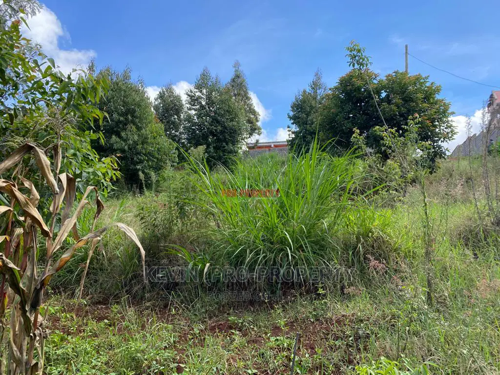 Plot for Sale in Kinoo, Kihumo Area. in Kinoo - Land & Plots for Sale ...