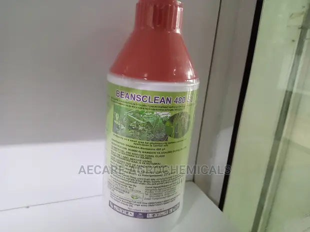 best time to apply spary herbicide