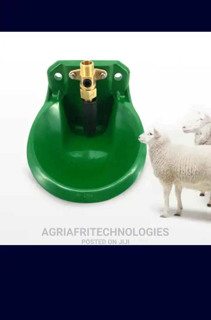 Sheep and Goats Automatic Water Drinkers in Nairobi Central - Farm ...