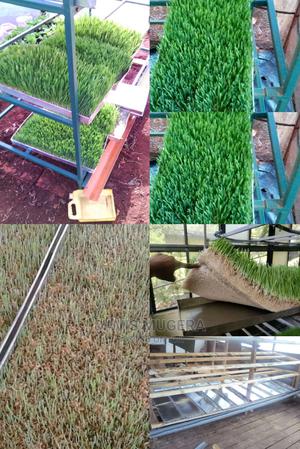 Agriculture & Food in Kenya for sale Price on Jiji.co.ke