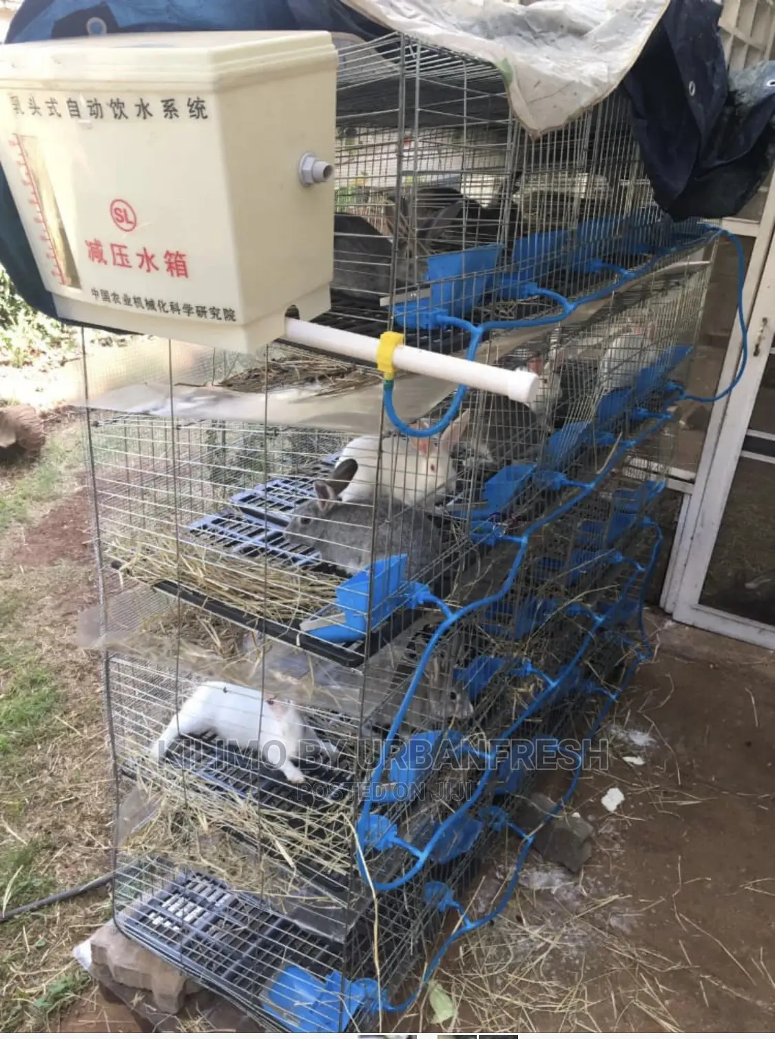 Rabbit Cages With Feeders,Drinkers Urine Collection Point. in Kilimani ...