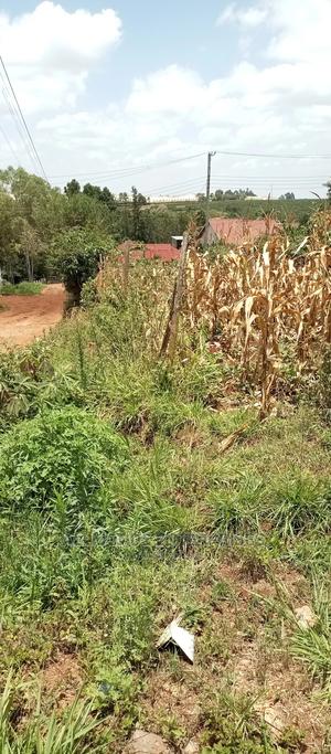 120*50 Plot at Ngoigwa in Ngoingwa Estate - Land & Plots for Sale ...