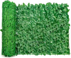 3m Long Privacy Hedge in Nairobi Central - Garden Supplies, Bob ...