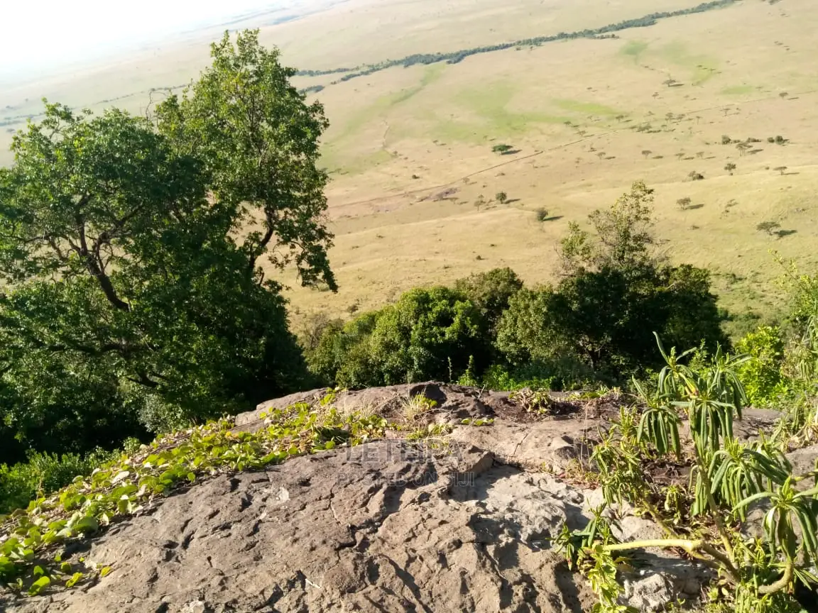 20acres Along the Mara Triangle Escapment in Mara - Land & Plots for ...