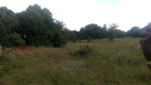 20acres Along the Mara Triangle Escapment in Mara - Land & Plots for ...