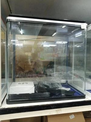 Black Casing White Striped Imported Acrylic Aquarium in Kangemi - Fish ...