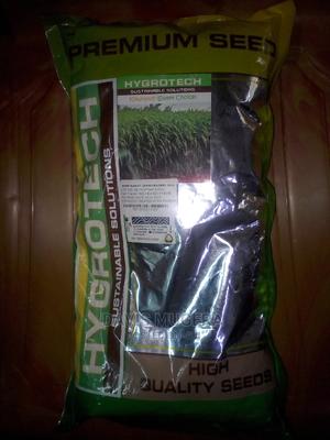 Kow Kandy Fodder Sorghum 2kg in Nairobi Central - Feeds, Supplements ...