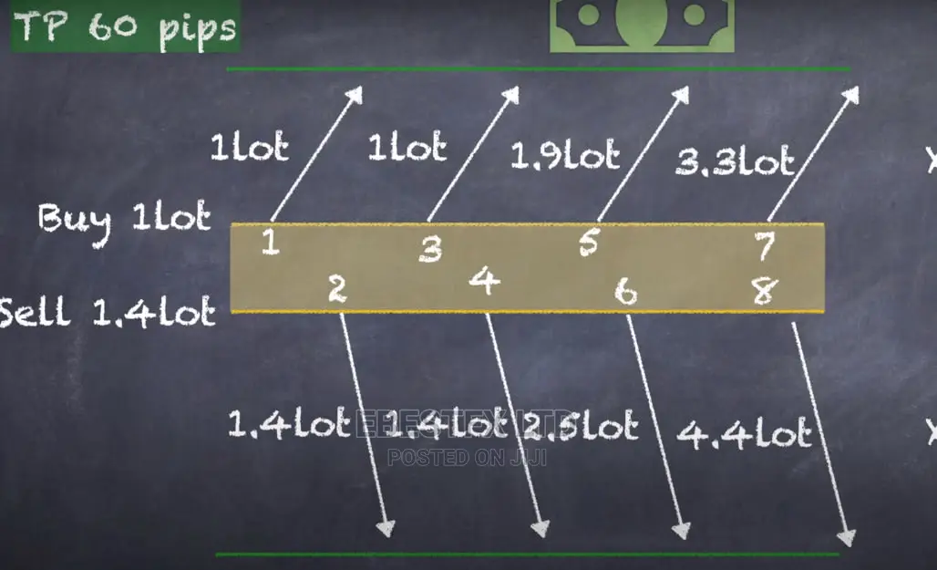 Mql4 Mql5 Programming In Thika Computer And It Services Martin Njoroge 0495