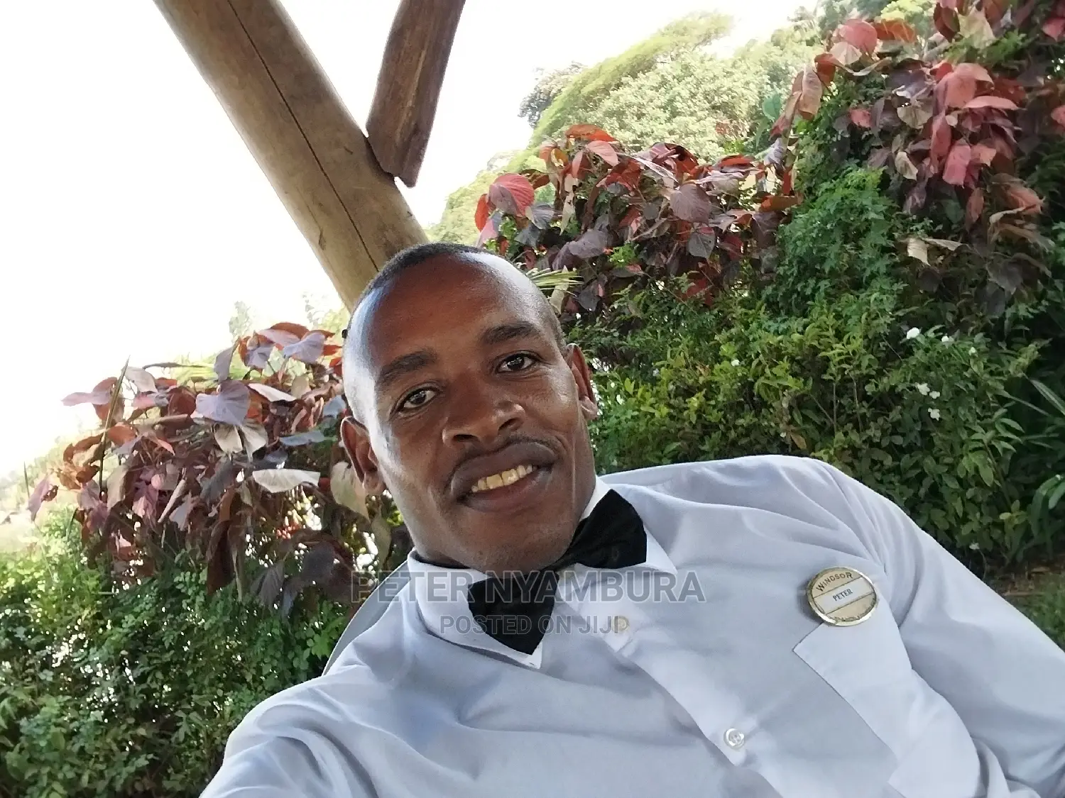 Computing IT CV in Thome - Computing & IT CVs, Peter's Modern And ...