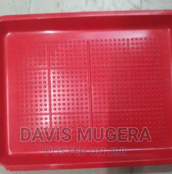 Rectangular Plastic Chick Feeding Tray in Nairobi Central - Farm ...