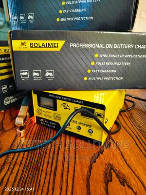 Battery Charger 150v/250v to 12V 24V Smart Charge in Industrial Area ...