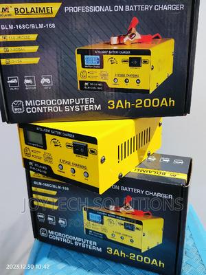 Intelligent Battery Charger BLM-CDQ-168 Automatically 12/24v in ...