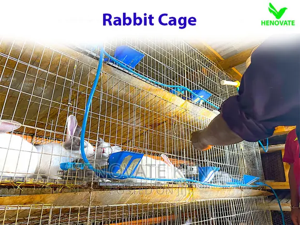 Commercial Rabbit Cages