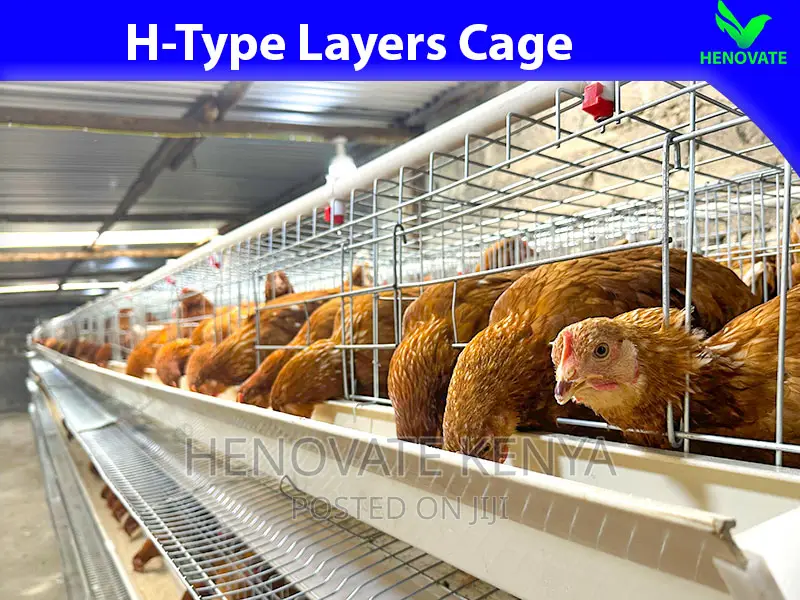 Hightop Poultry Farming(H-Type)Cage in Kiambu Ruiru in Ruiru - Farm ...