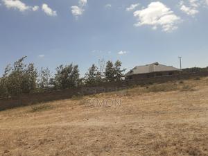 Kangundo Road Joska Mtalia Prime 2 Adjoined 1/8ac Freehold in Joska ...