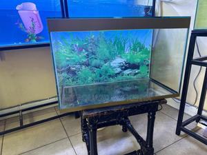 2ft Aquarium With Fish and Fill Deco in Nairobi Central - Fish, Fuzu ...