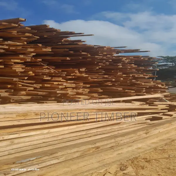 Sky Timber in Ziwani/Kariokor - Building Materials, Pioneer Timber ...