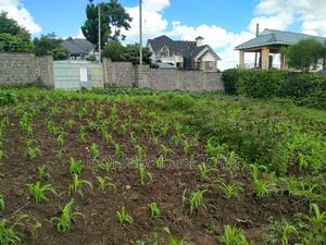 Quarter Acre Plot in Ongata Rongai Nkoroi Has Perimeter Wall in Rimpa ...