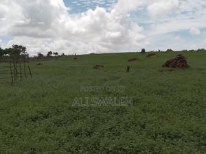 Fertile Farm for Sale, It Is Located at Majenjeni(Sabaki) in Sabaki ...