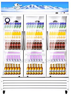 Premier Showcase Chiller 1080ltrs in Nairobi Central - Restaurant ...