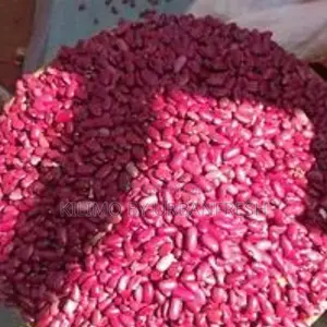 Beans in Kenya for sale Prices on Jiji.co.ke