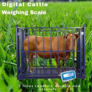 Cattle Weighing Scale Cow Digital Platform in Kitengela - Farm ...