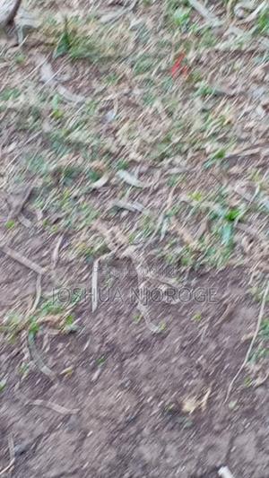 Four Acres With Ready Title in Subukia in Waseges - Land & Plots for ...