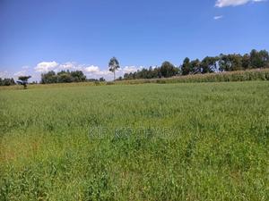 40 Acres Primeland for Sake in Merewet Eldoret in Kuinet - Land & Plots ...