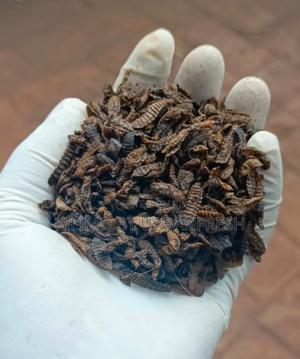 Dried BSF Larvae Feed. 50% Crude Protein. 25kgs in Kilimani - Farm ...
