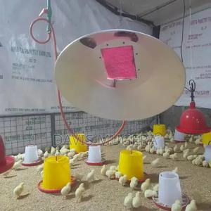 Poultry Gas Brooder Heater for 1500 to 2000 Chicks in Nairobi Central ...