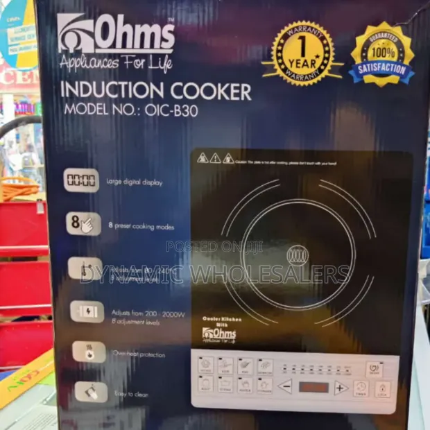 Induction Cooker Cosway