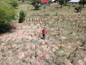 Chumani Prime Plot for Sale Very Affordable in Tezo - Land & Plots for ...