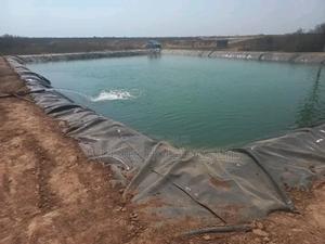 Fish Pond Construction Masters in Kitengela - Building & Trade Services ...