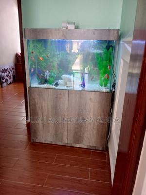 Fresh Water Aquarium Set Up in Utawala - Fish, Fuzu Aquariums | Jiji.co.ke