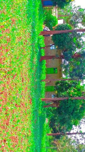 Gloryland Gardens. in Mbiri - Land & Plots for Sale, Ivy Nyambura ...