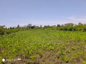Homabay/Kodhitha1394 in Homa Bay East - Land & Plots for Sale, Gordon ...
