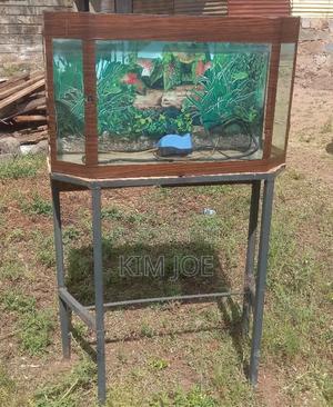 Aquarium Glass Tank 50ltrs of Water. Plas Pump in Thika - Fish, Kim Joe ...