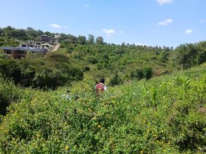 Prime Eighth Acre 400 Metres Off Tarmac in Matasia in Matasia - Land ...