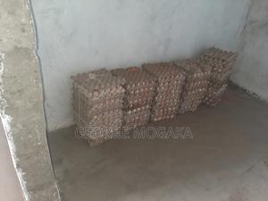 The Improved Kienyeji Chicken in Mbitini - Farm Animals, George Mogaka ...