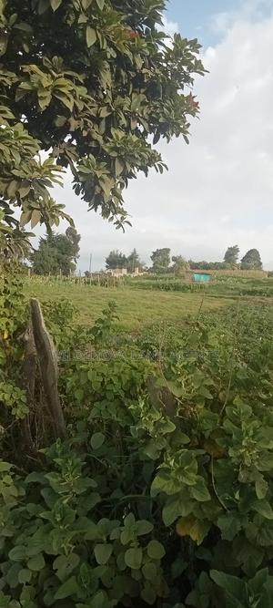 Land on Sale at Flyover Kinangop in Magumu - Land & Plots for Sale ...