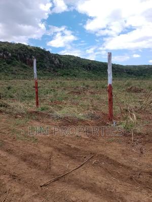 Lim Properties in Nachu - Land & Plots for Sale, Lilian Mukiri | Jiji.co.ke