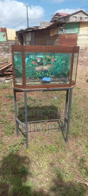 Aquarium Glass With Stand and Pump in Thika - Fish, Kim Joe | Jiji.co.ke
