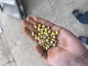 Beans in Kenya for sale Prices on Jiji.co.ke