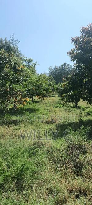 Ten Acres Avocado Land Nakuru Bahati in Bahati - Land & Plots for Sale ...