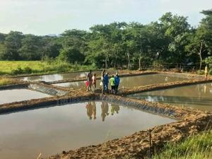 We Help You Set Up a Fishpond in Kimana - Farm Machinery & Equipment ...