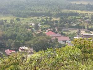 Plots for Sale in Kikuyu in Nachu - Land & Plots for Sale, Joseph Thiga ...