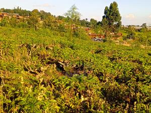 Very Prime Full 1⁄2 Acre Located in Limuru Riara Ridge in Tigoni - Land ...