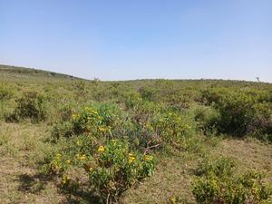 Kikuyu Nachu Kamangu Prime Fertile Virgin 40 Acre in Nachu - Land ...