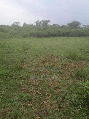 1 Acre of Land in Rambusi Area of Homa Bay in Homa Bay West - Land ...